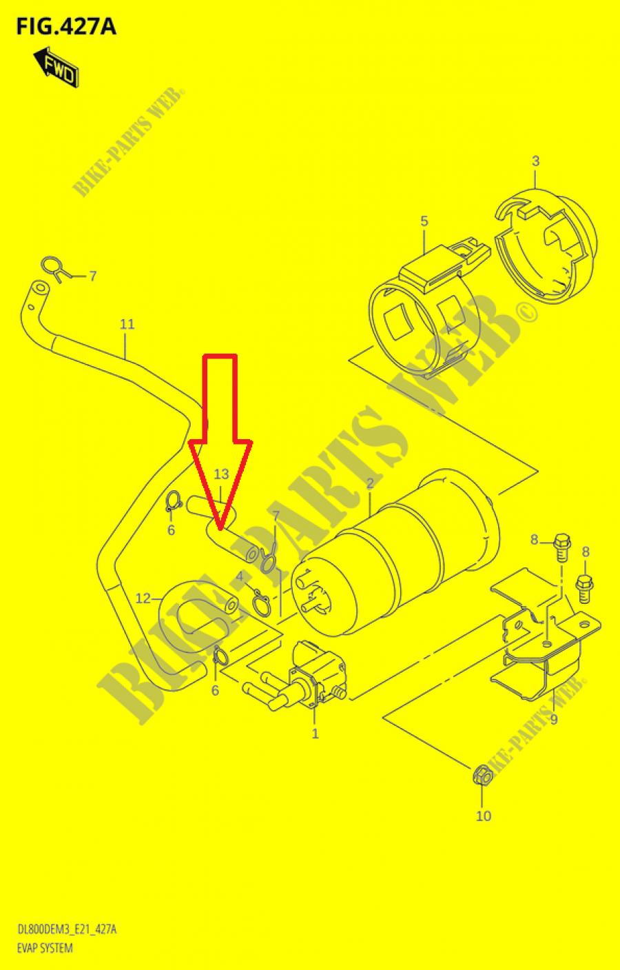 DL 800 V-Strom (2023-)